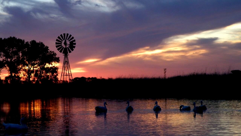 Destinos bonaerenses: Punta Indio y su magia natural con turismo ...