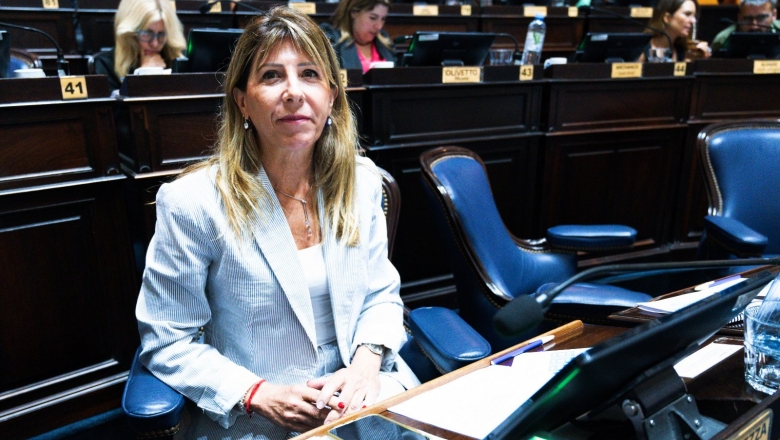 Vaccarezza pidió establecer un informe anual sobre accidentes de ...